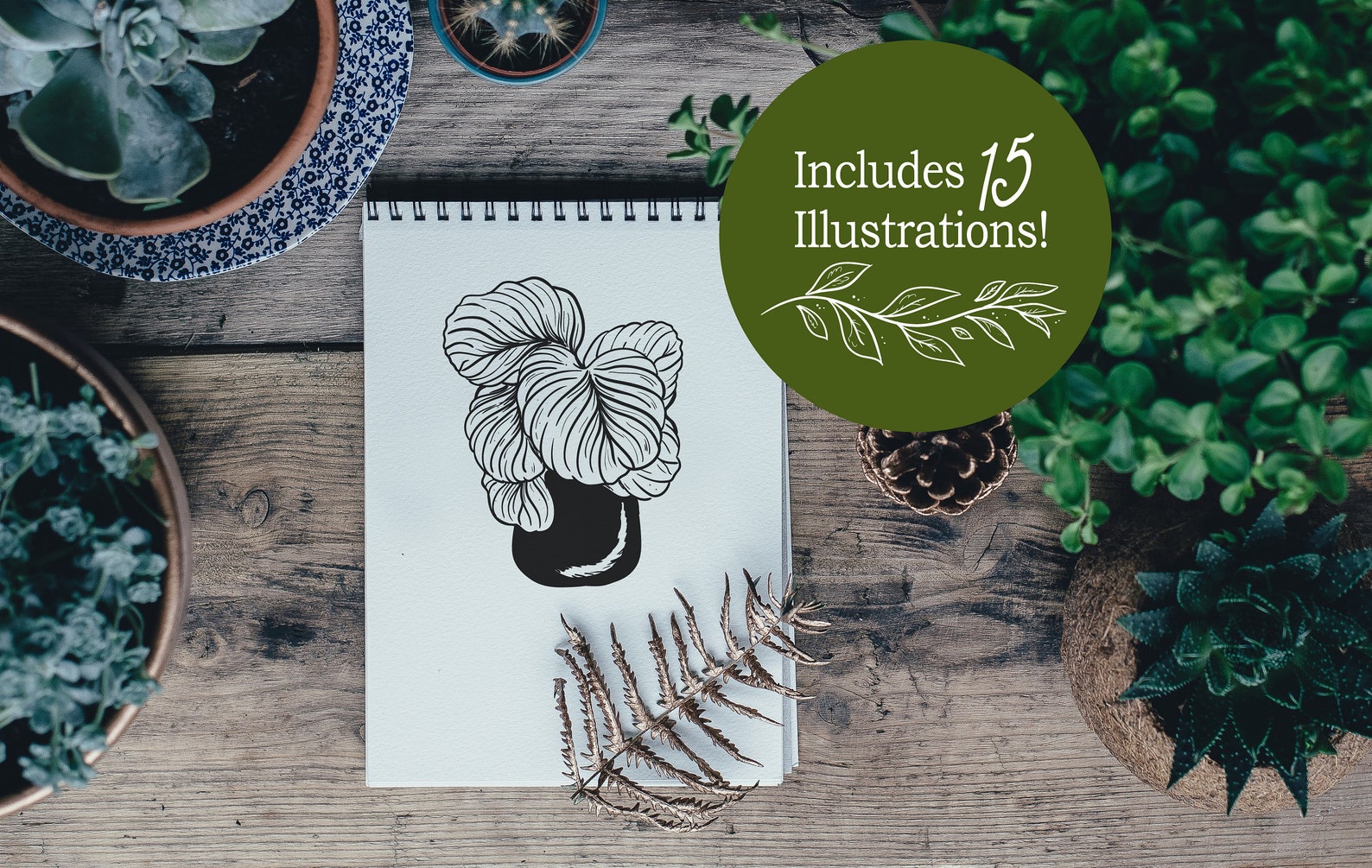 House Plant Clipart Potted Plant Prints Commercial Use - Etsy