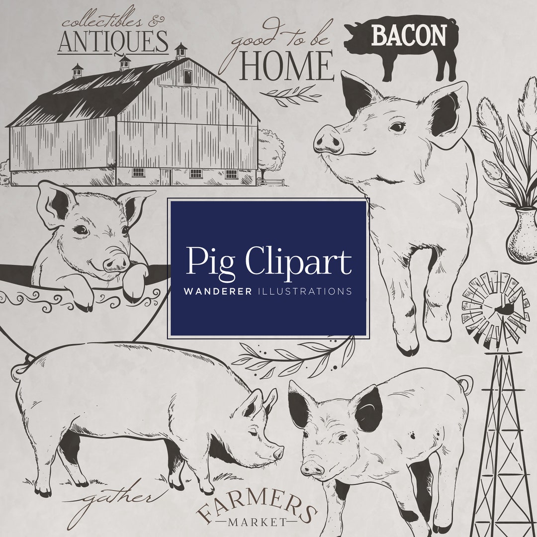 Hand Drawn Pig Clipart, Vintage Pig Prints, Farmhouse Decor Vector ...