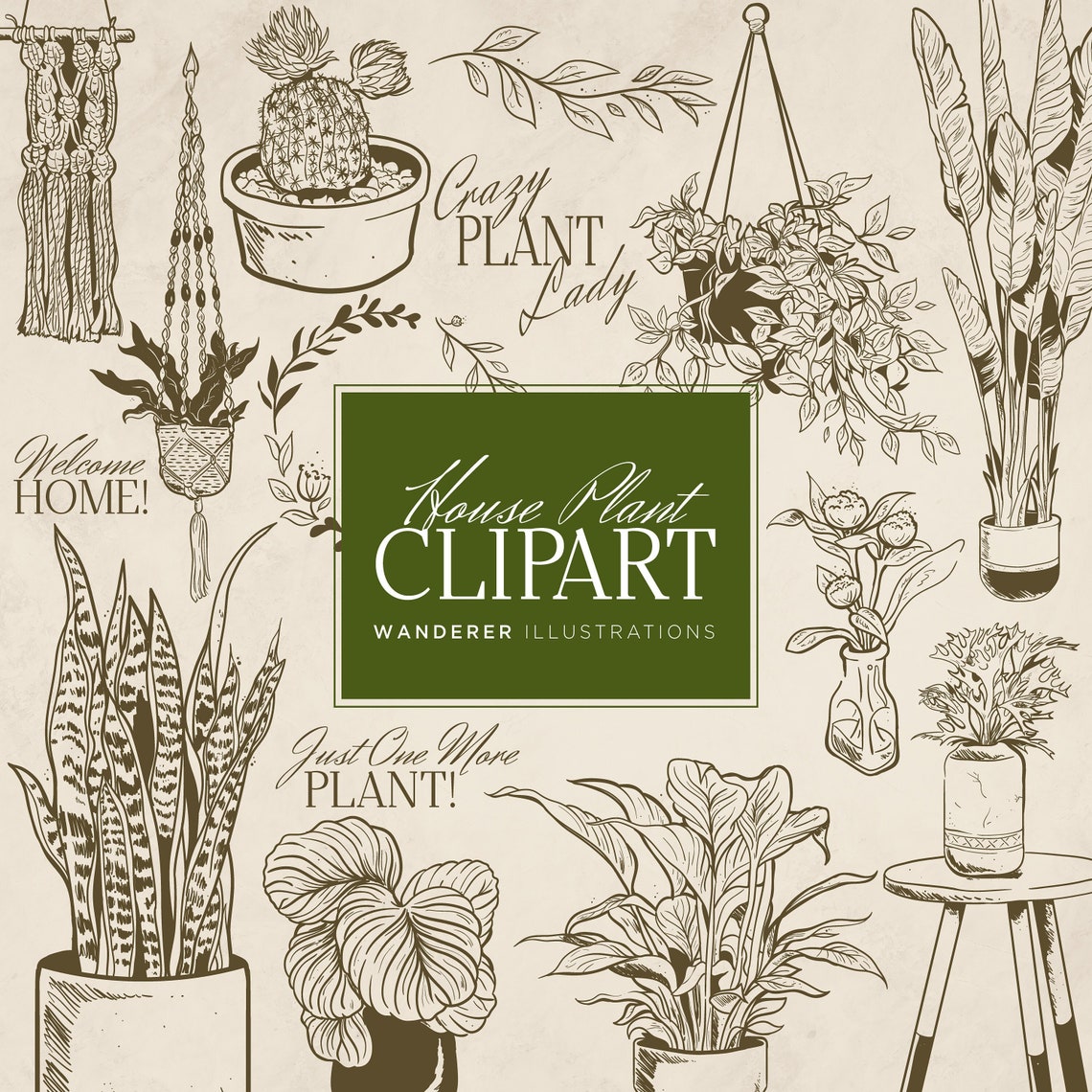 House Plant Clipart Potted Plant Prints Commercial Use - Etsy