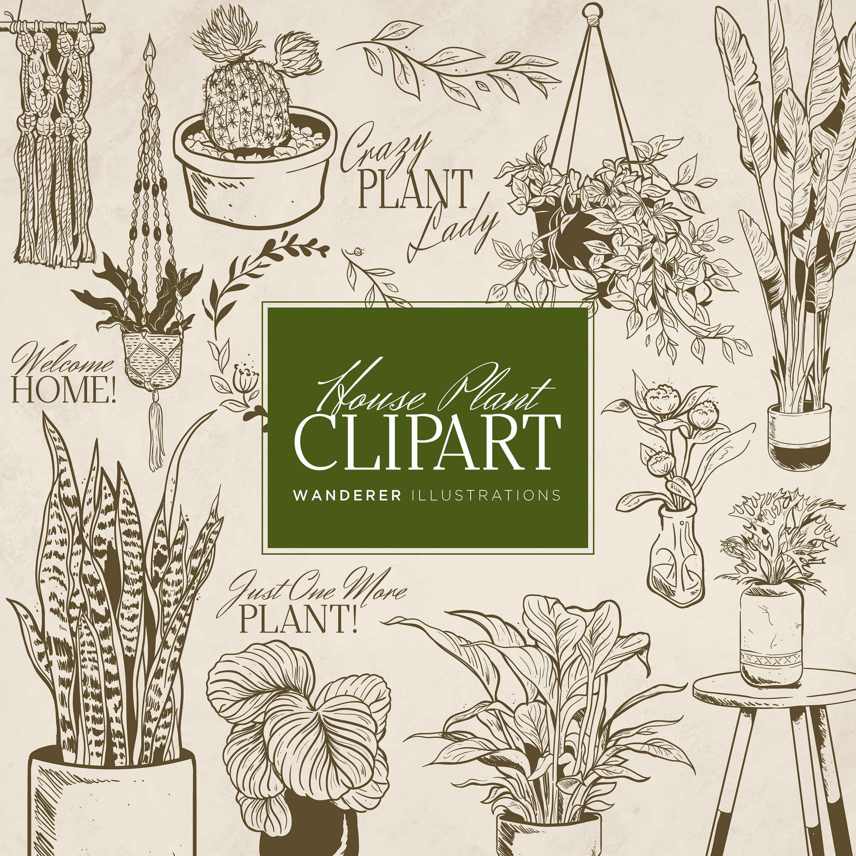 House Plant Clipart Potted Plant Prints Commercial Use - Etsy