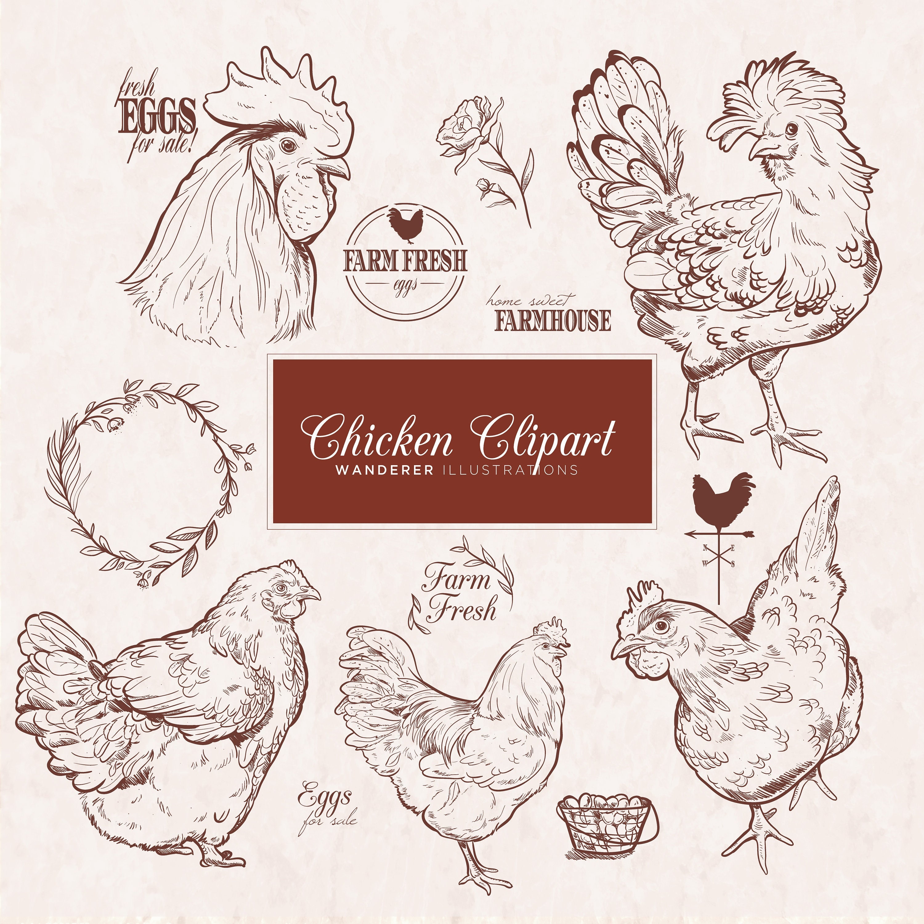 Prairie Chicken Clipart For Kids