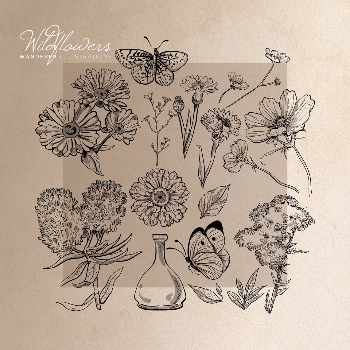 Hand Drawn Wildflowers Clipart Wild Flower Prints Commercial - Etsy