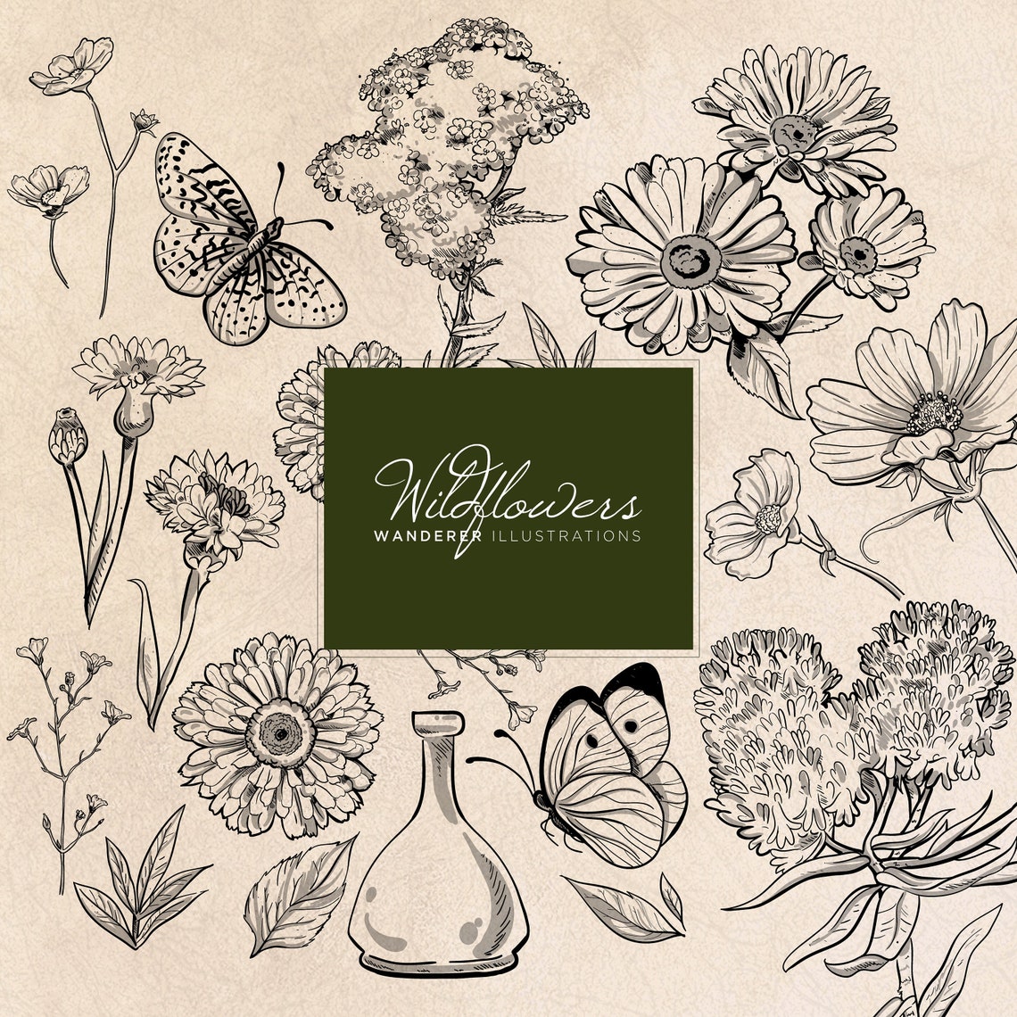 Hand Drawn Wildflowers Clipart Wild Flower Prints Commercial - Etsy