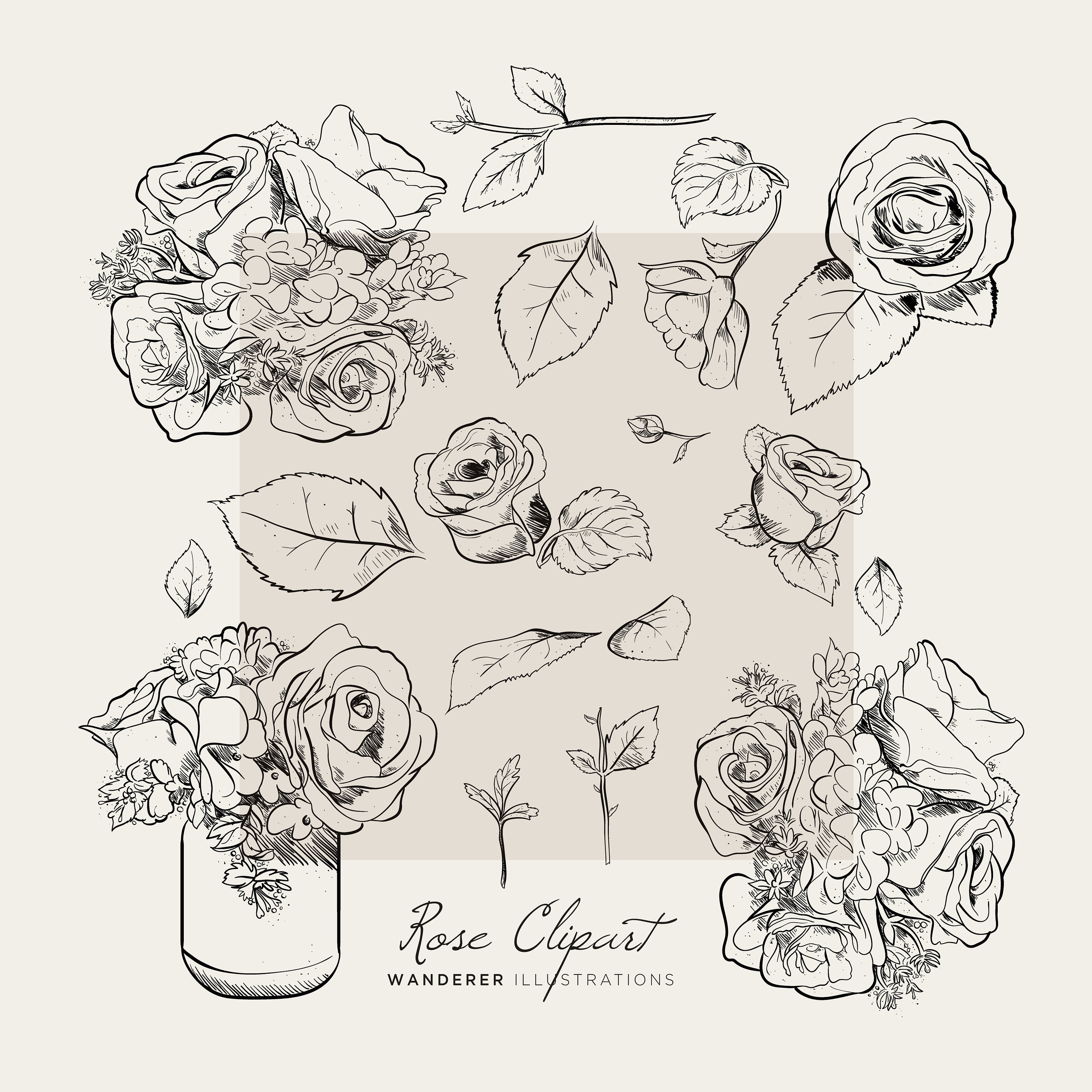 Hand Drawn Rose Line Clipart Paper Texture Background - Etsy
