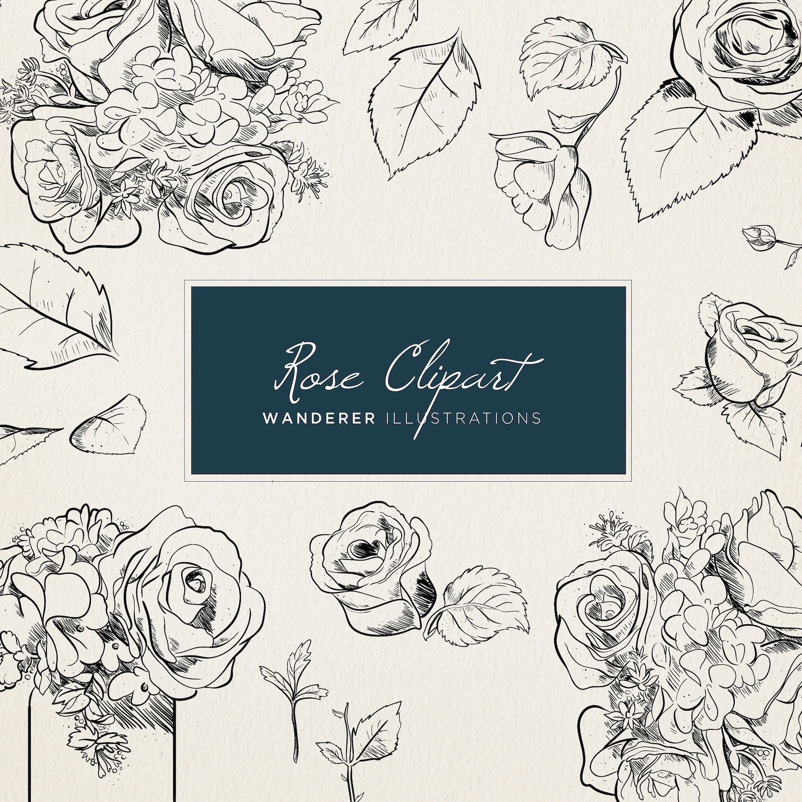 Hand Drawn Rose Line Clipart Paper Texture Background - Etsy
