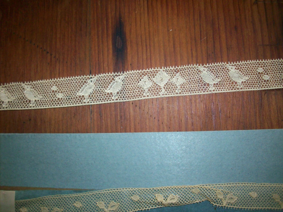 Rare Picture/museum Lace Birds or Botanical Fine Cotton Lace 1920s - Etsy