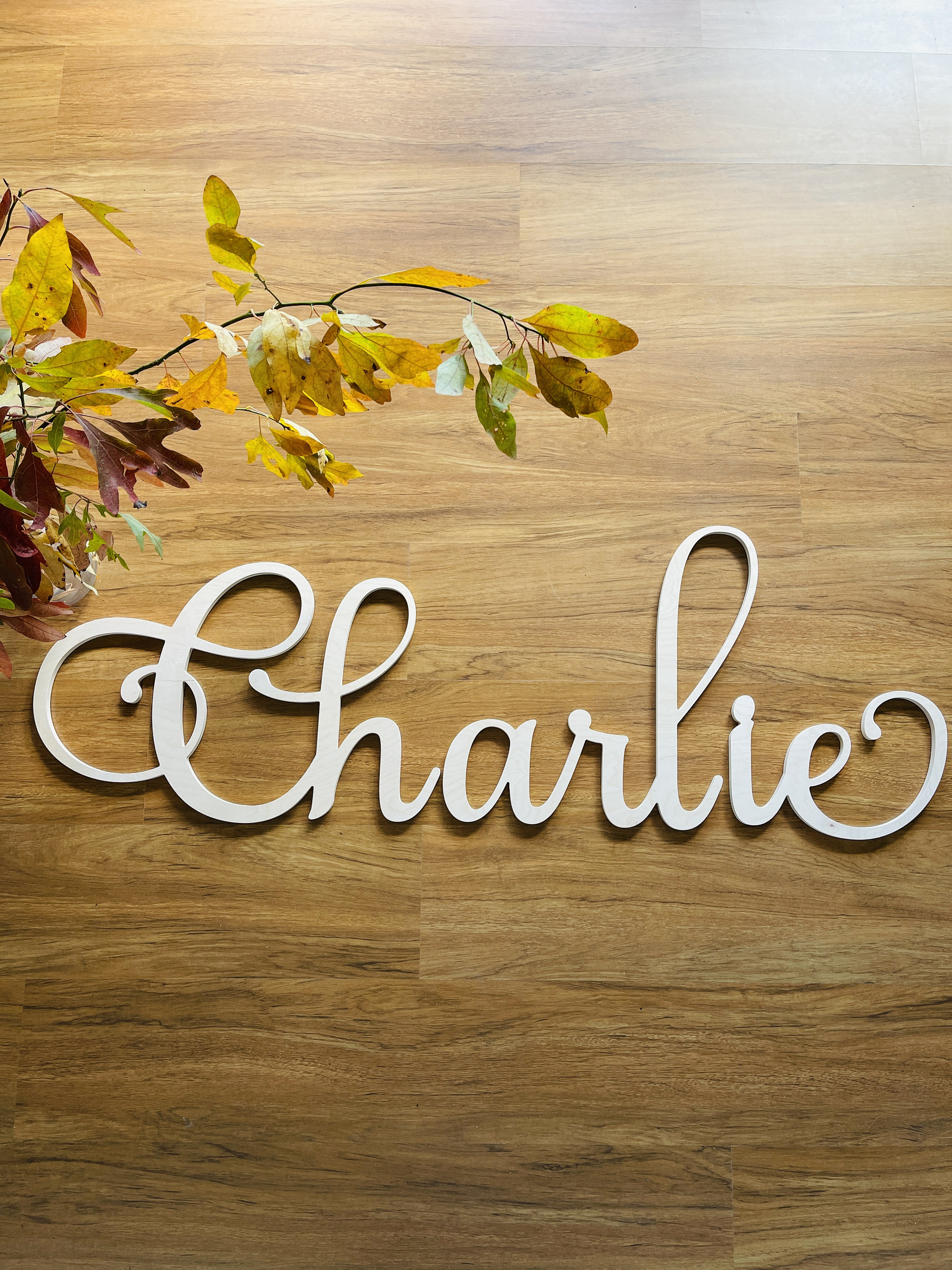 Charlie Name Designs