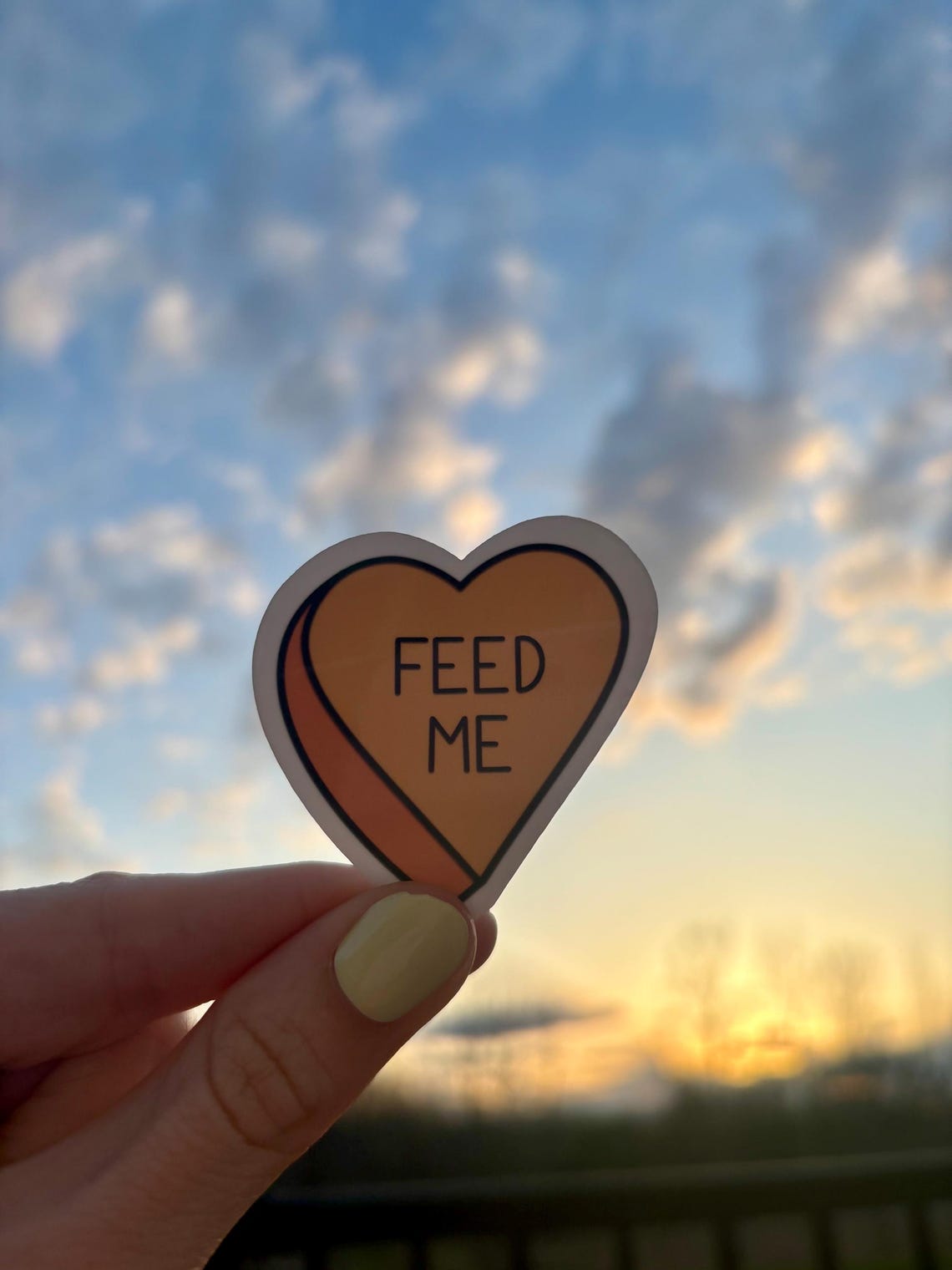 Feed Me Valentine Candy Heart Vinyl Sticker, Sarcastic Valentine Gift ...