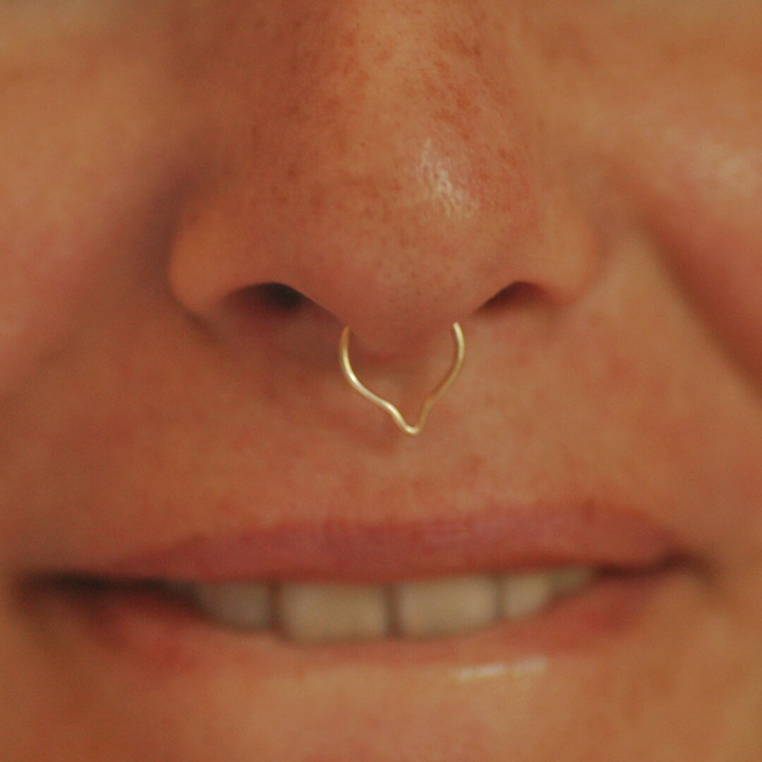 Fake Nose Ring, Non Pierced Nose Hoop, Gold Silver Non Pierced Nose ...