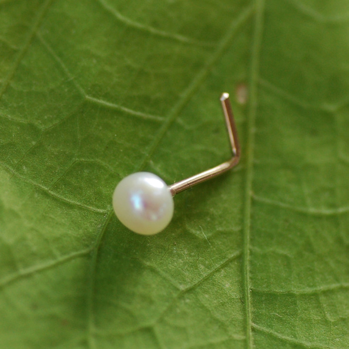 White Freshwater Pearl Nose Stud Sterling Silver Nose Earring - Etsy
