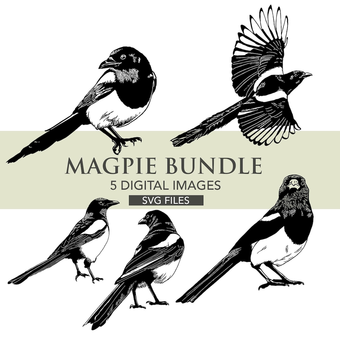 Magpie Svg Files, Instant Download, Fully Editable Files, Bundle of 5 ...