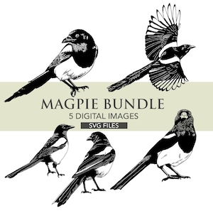 Magpie Svg Files, Instant Download, Fully Editable Files, Bundle of 5 ...