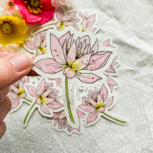 Lily Pad Sticker - Etsy