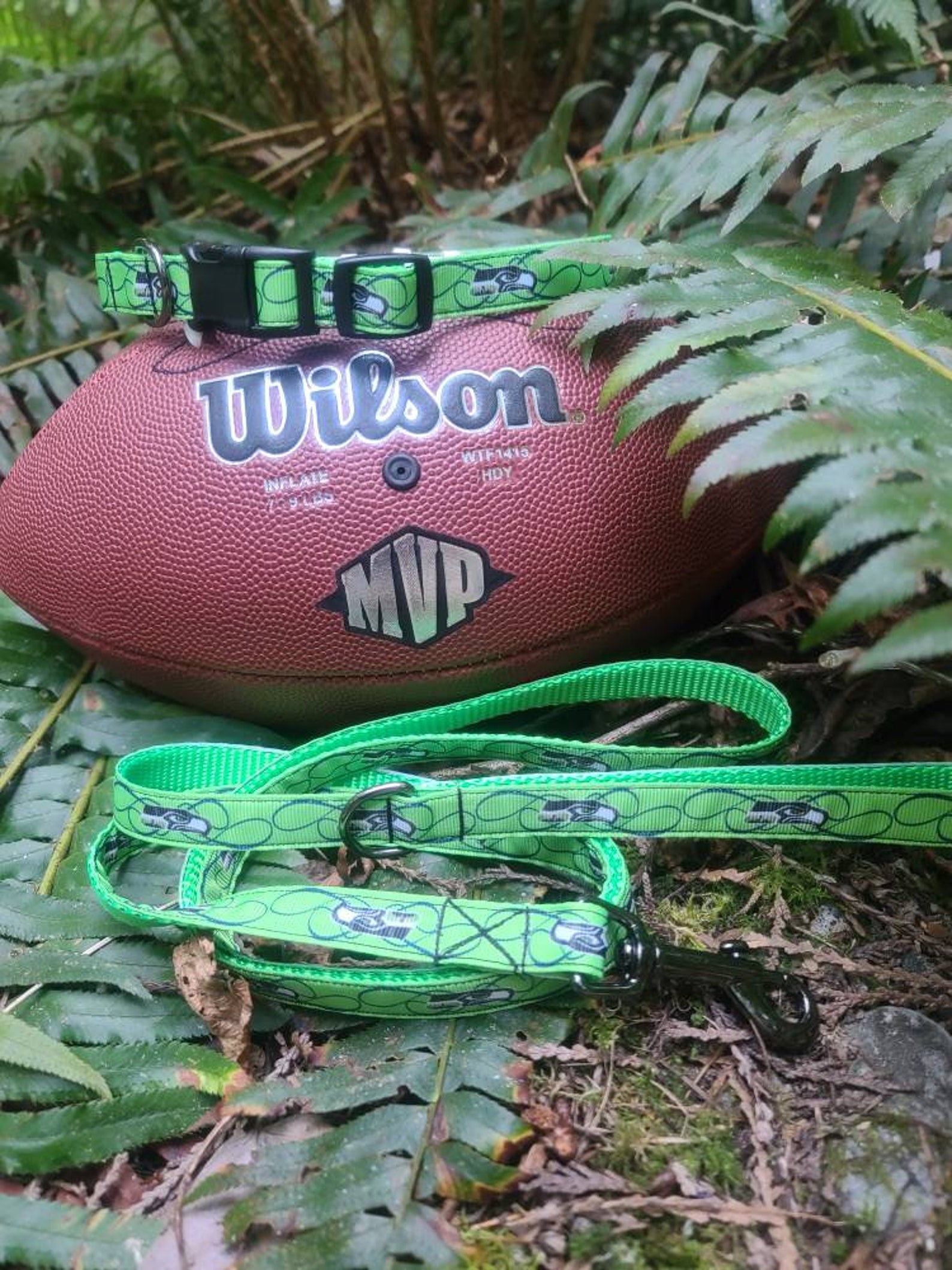 Green Seattle Seahawks Dog Collar Leash or Set - Etsy