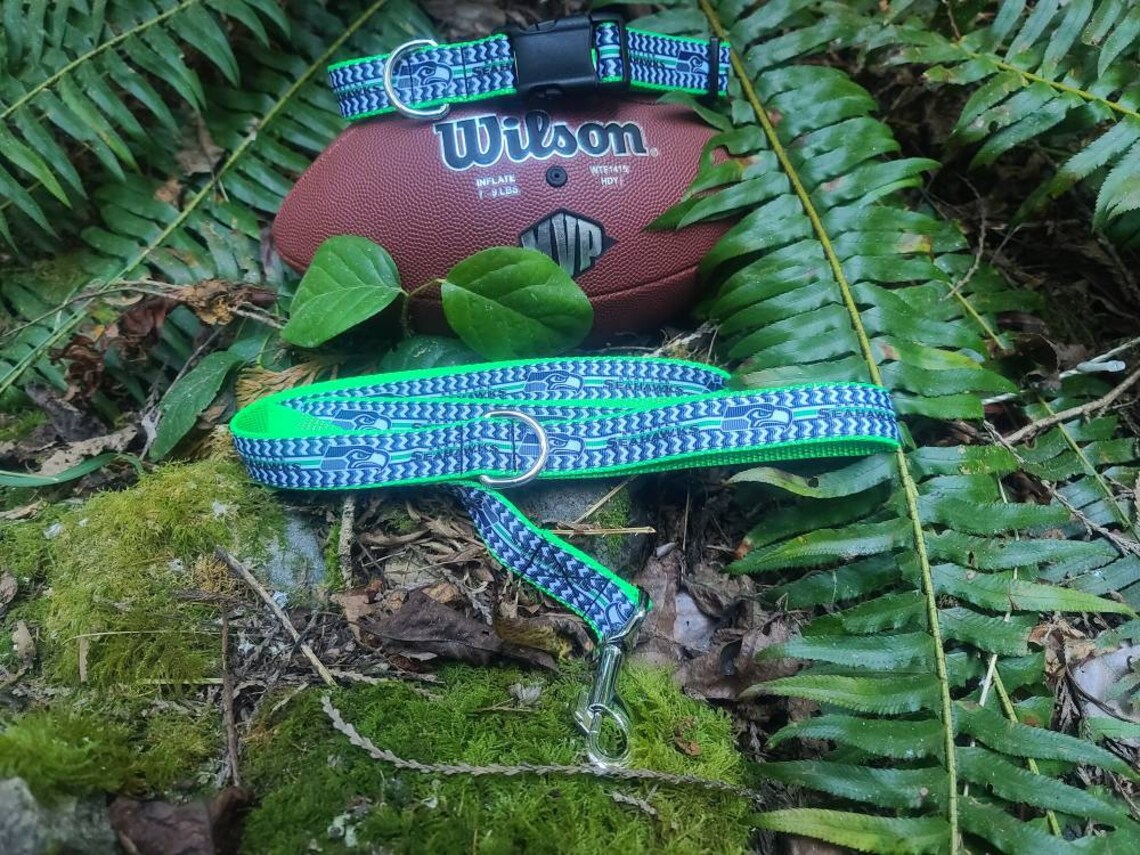 Seattle Seahawks Cat or Dog Collar, Leash or Set - Etsy