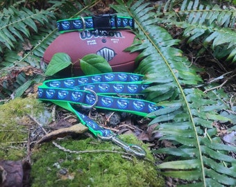Pink Seattle Seahawks Dog Collar, Leash or Set - Etsy