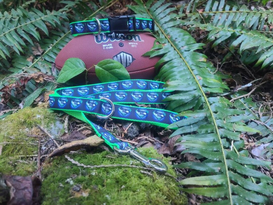 Super Seahawks Dog Collar, Leash or Set - Etsy