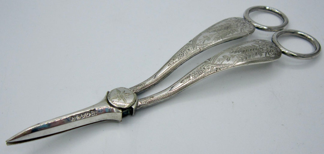 Vintage Silver Plated Grape Shears Scissors (7 In.) EPNS - England - Etsy