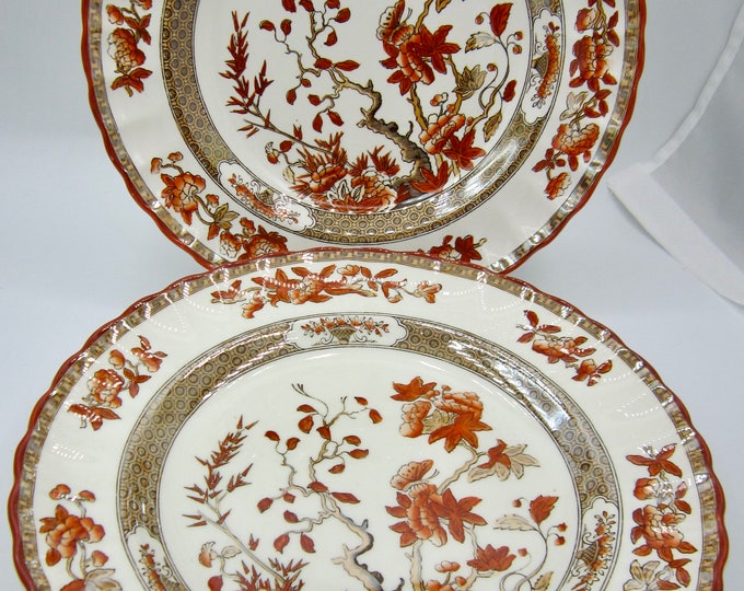 Copeland Spode Indian Tree Rust Luncheon Plates 5 Old Mark England - Etsy