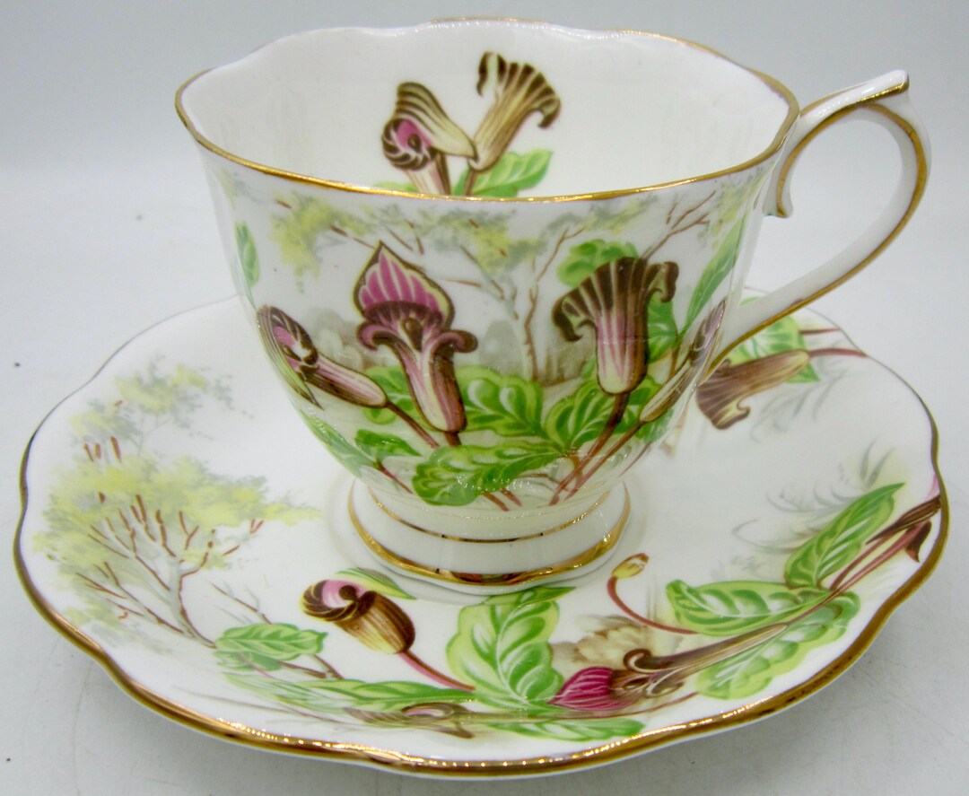 Royal Albert Jack-in-a-pulpit Bone China Teacup and Saucer England - Etsy