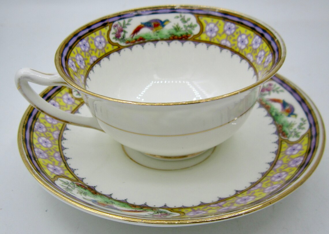 Paragon Star Bone China Teacup and Saucer (2534) - Pheasant Bird ...