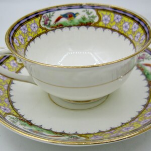 Paragon Star Bone China Teacup and Saucer (2534) - Pheasant Bird ...