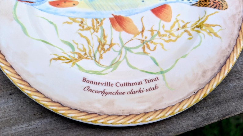 Porcelain Fish Plates, Set of Three From American Atelier, Trout, Sport ...