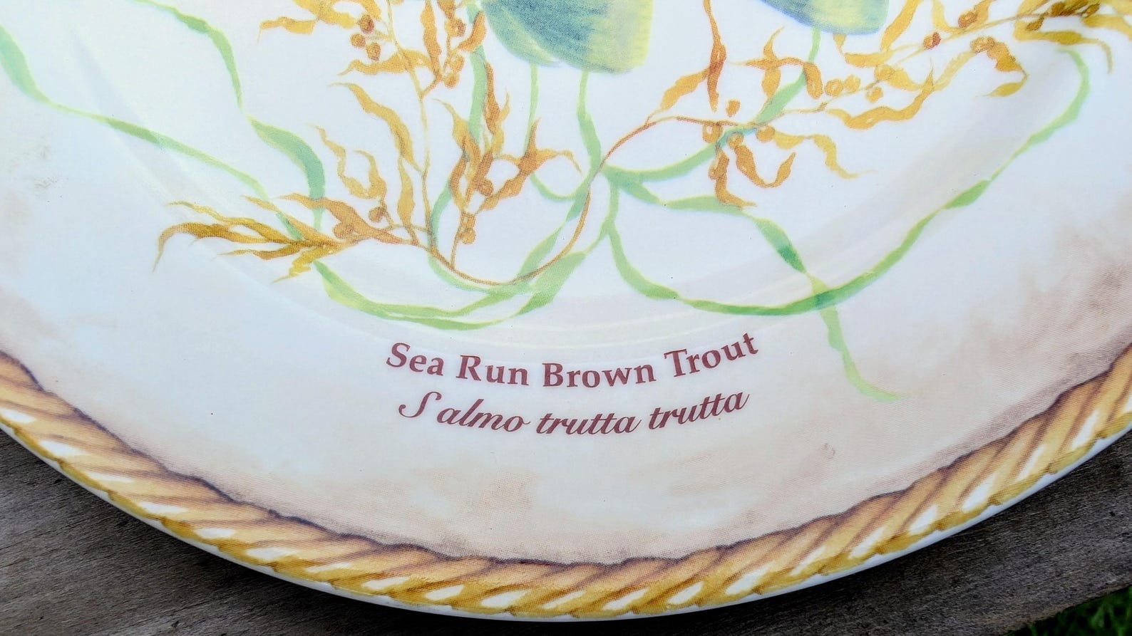 Porcelain Fish Plates, Set of Three From American Atelier, Trout, Sport ...