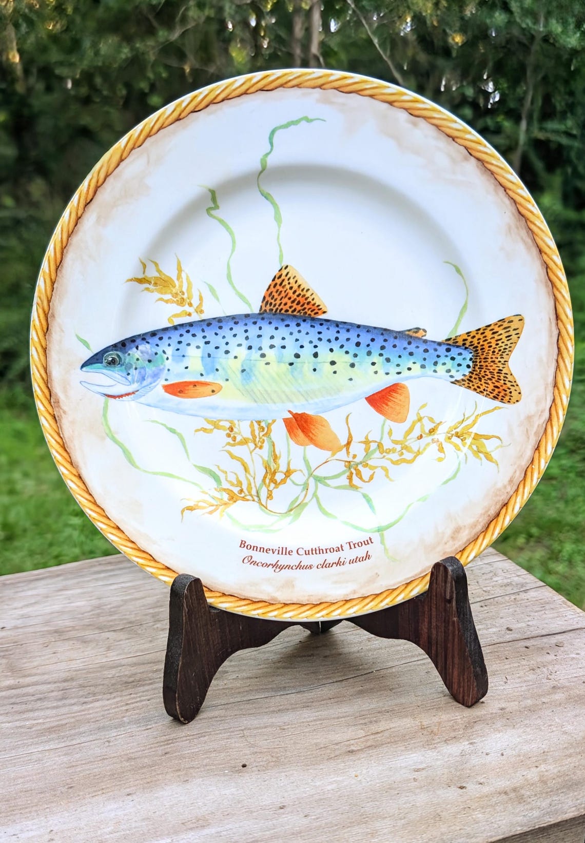 Porcelain Fish Plates, Set of Three From American Atelier, Trout, Sport ...