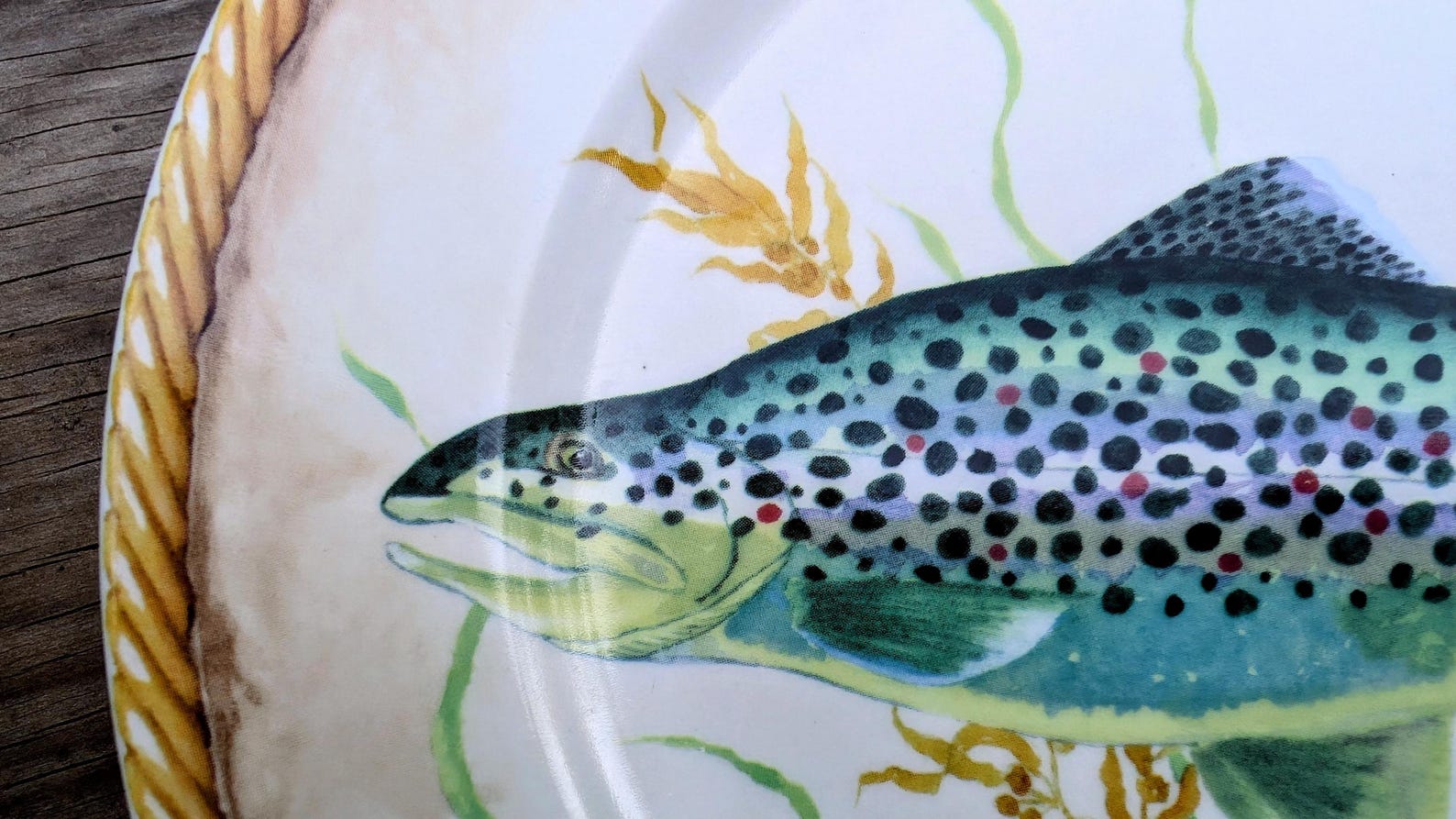 Porcelain Fish Plates, Set of Three From American Atelier, Trout, Sport ...
