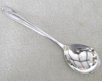 Rogers Shell Pattern - Etsy