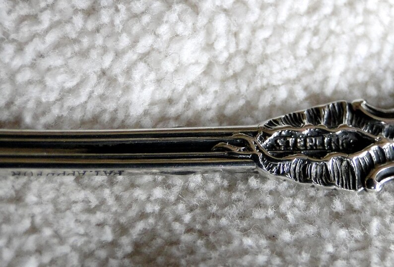 Whiting Sterling Souvenir Spoon-victor, Co-features Engraved Picture of ...