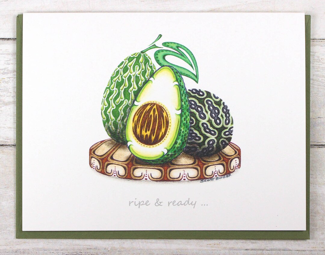 Avocados - Set of 8 Notecards - Etsy