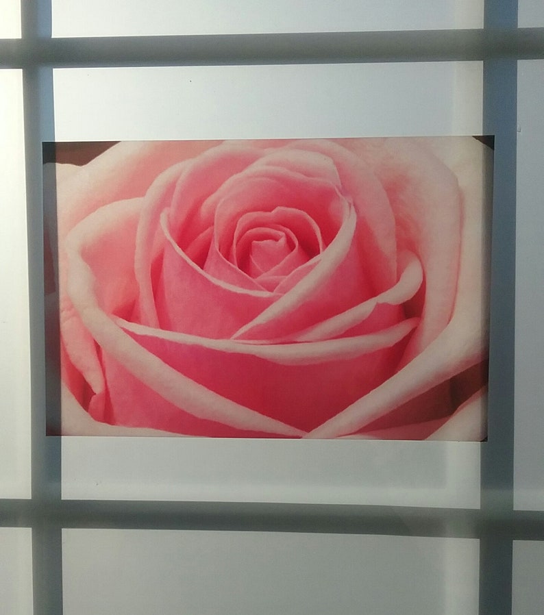 Pink Rose Window Cling Stained Glass Color Photo Window | Etsy