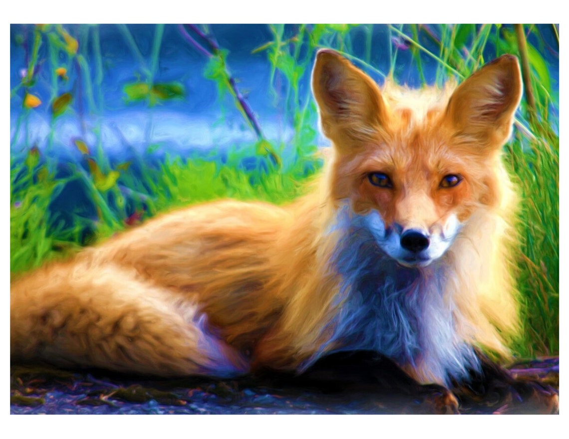 Fox WINDOW CLING Suncatcher Window Art Size 10.6 - Etsy