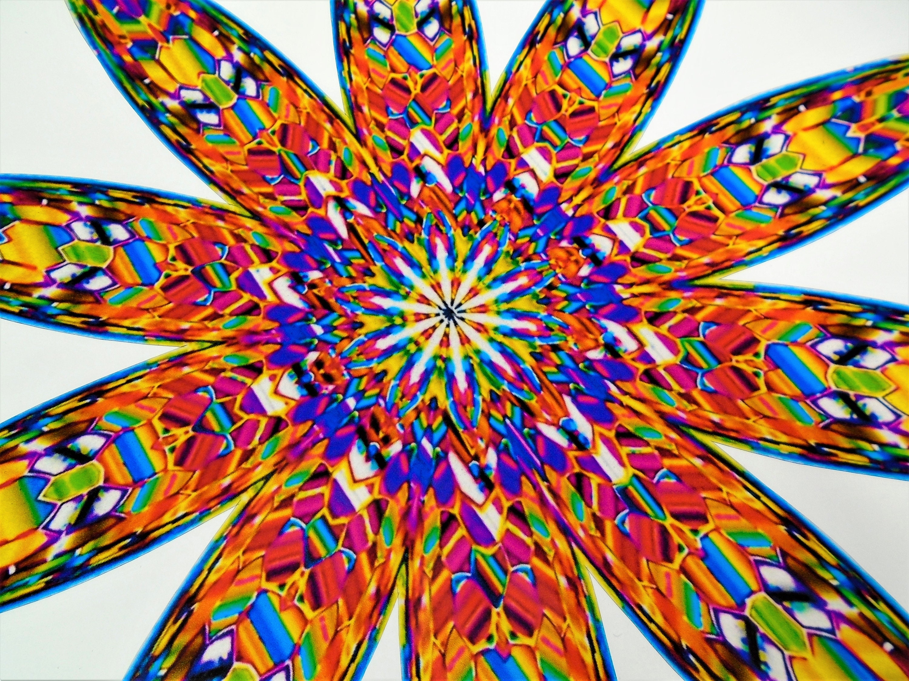 Native American Star Flower WINDOW CLING Glossy, Translucent, Double ...