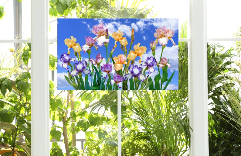 Iris Flowers WINDOW CLING Stained Glass Color Realistic | Etsy