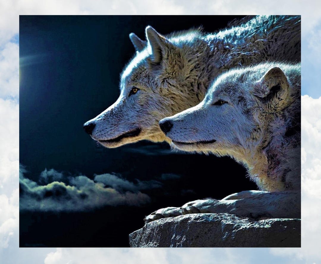 Wolves WINDOW CLING Glass-like Suncatcher - Etsy