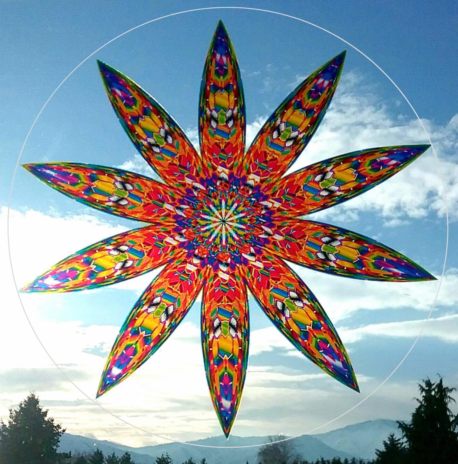 Native American Star Flower WINDOW CLING Glossy, Translucent, Double ...