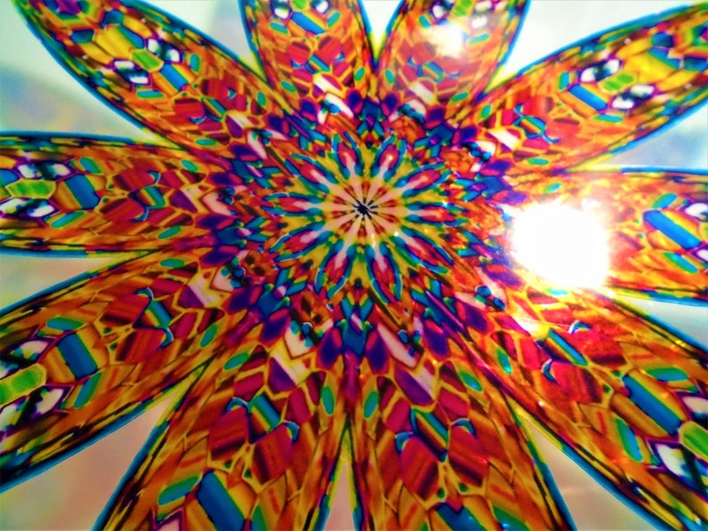 Native American Star Flower WINDOW CLING Glossy, Translucent, Double ...
