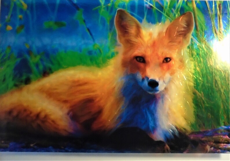 Fox WINDOW CLING Stained Glass Color Suncatcher Window | Etsy