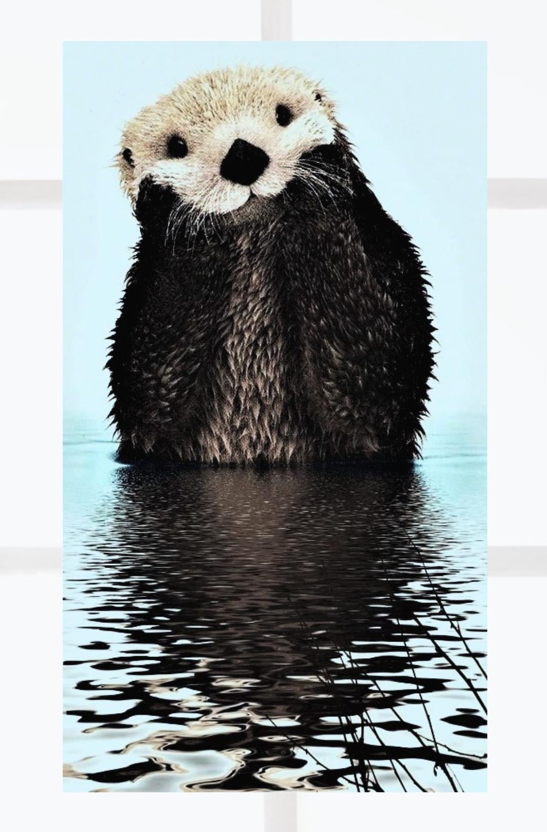 Sea Otter WINDOW CLING Deluxe Vinyl Suncatcher - Etsy