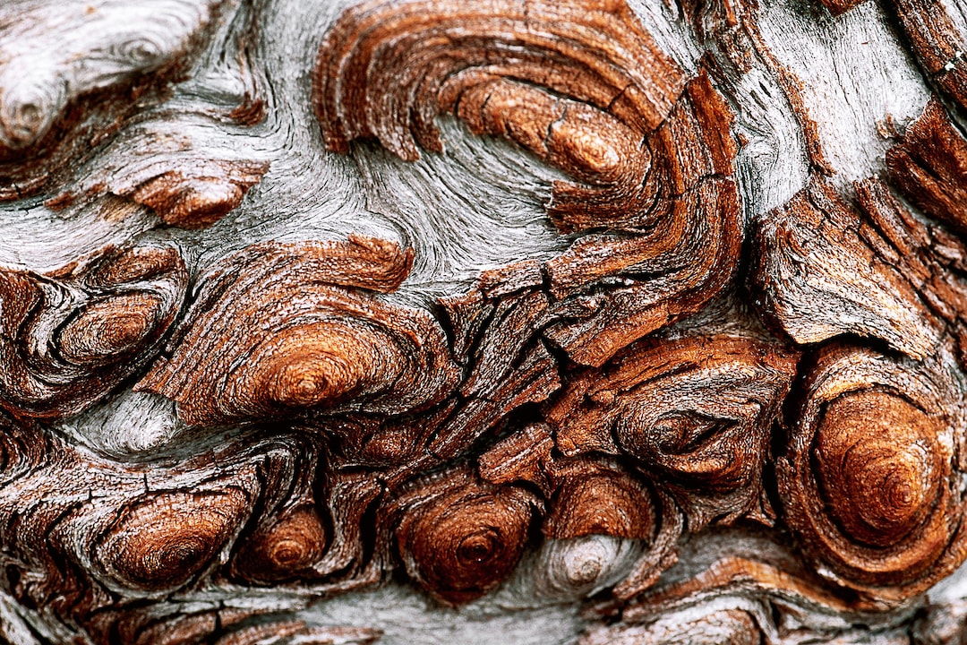 Abstract Tree Print Bark Photography Fine Art Print Canvas Wall Art ...