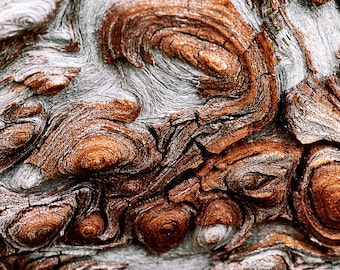 Fine Art Photography - Etsy