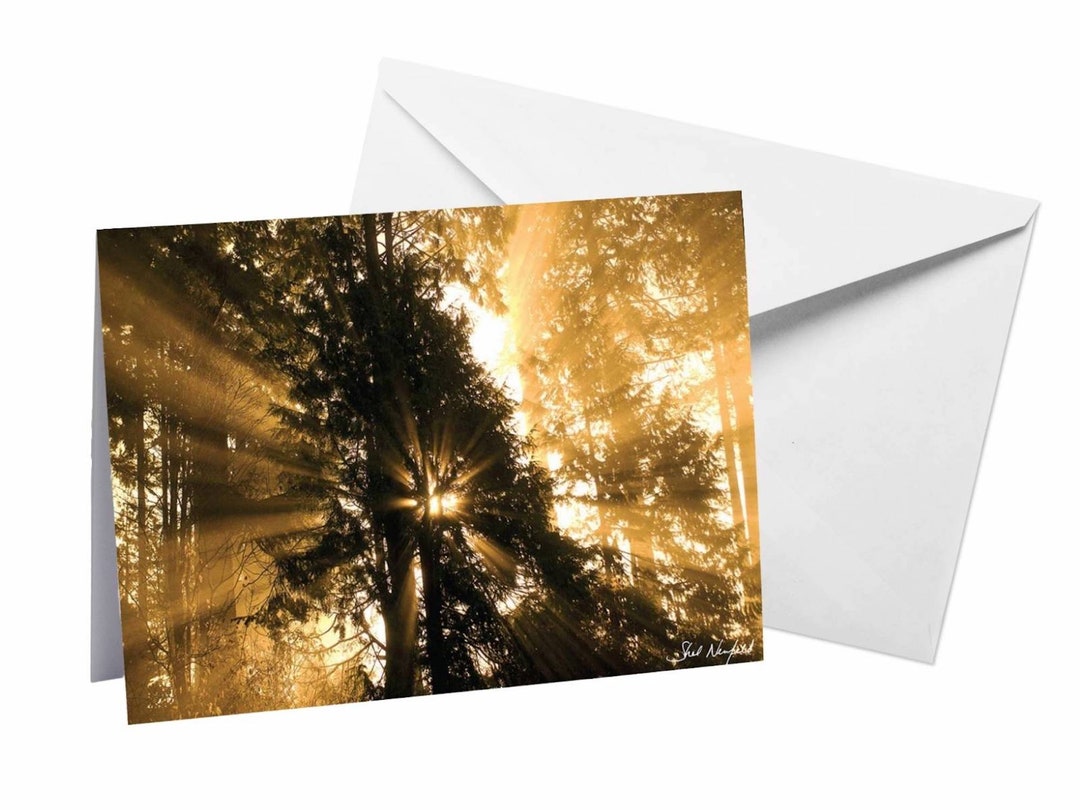 Sepia Sunbeam Card, Tree Silhouette Blank Greeting Card Nature Print by ...