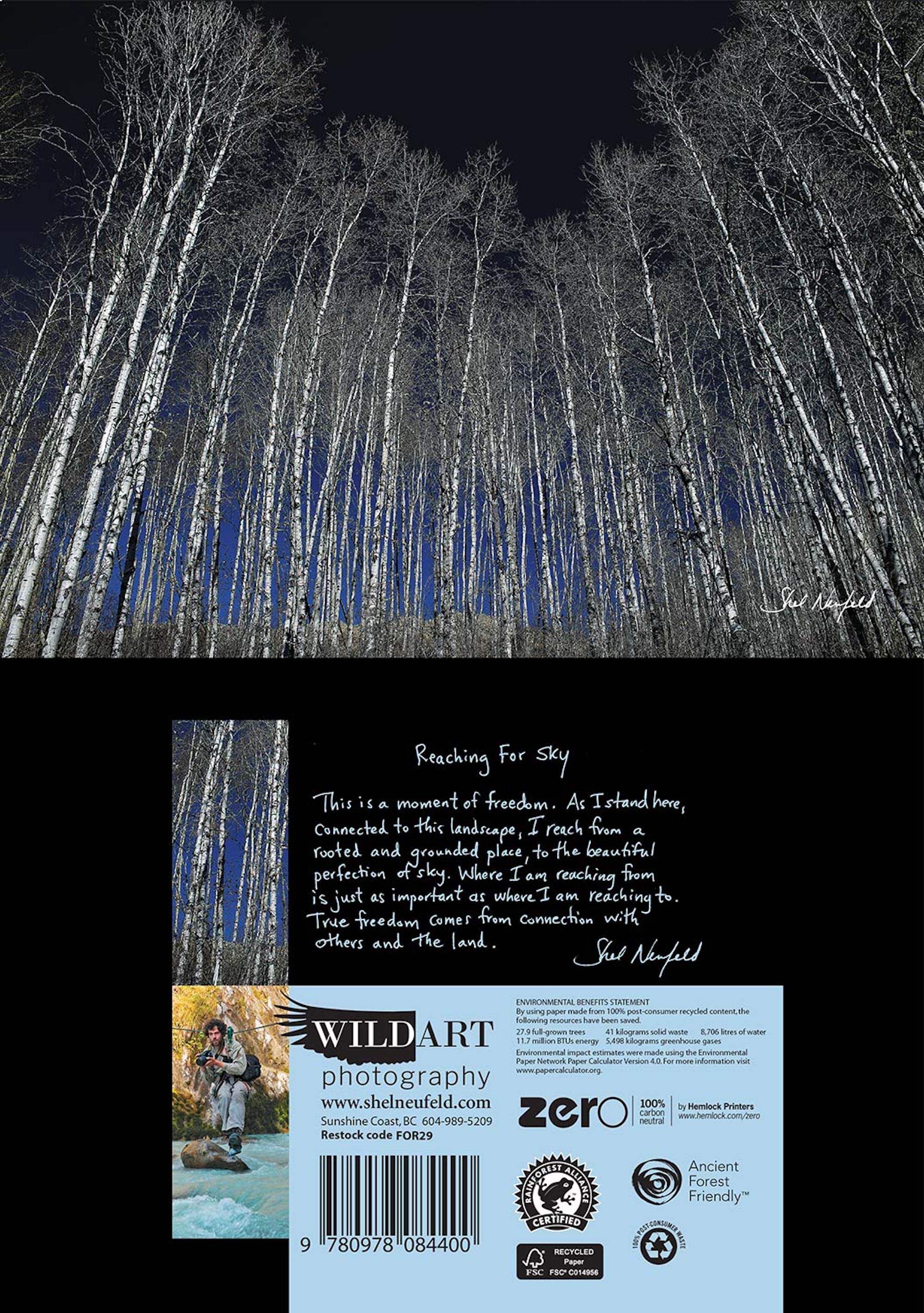 Aspen Forest Card, Photography Blank Greeting Card by Shel Neufeld ...