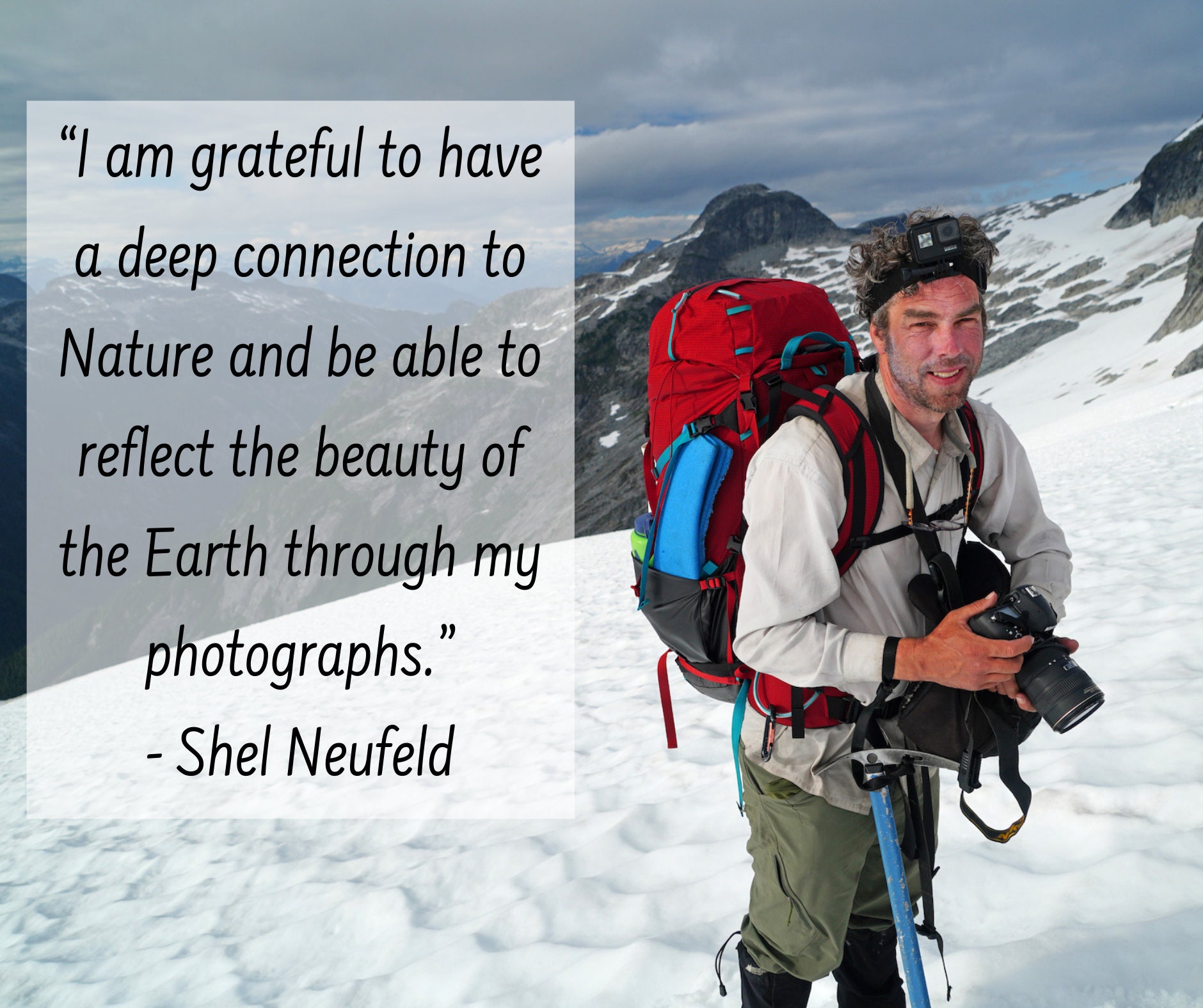 Abstract Tree Print Bark Photography Fine Art Print Canvas Wall Art ...