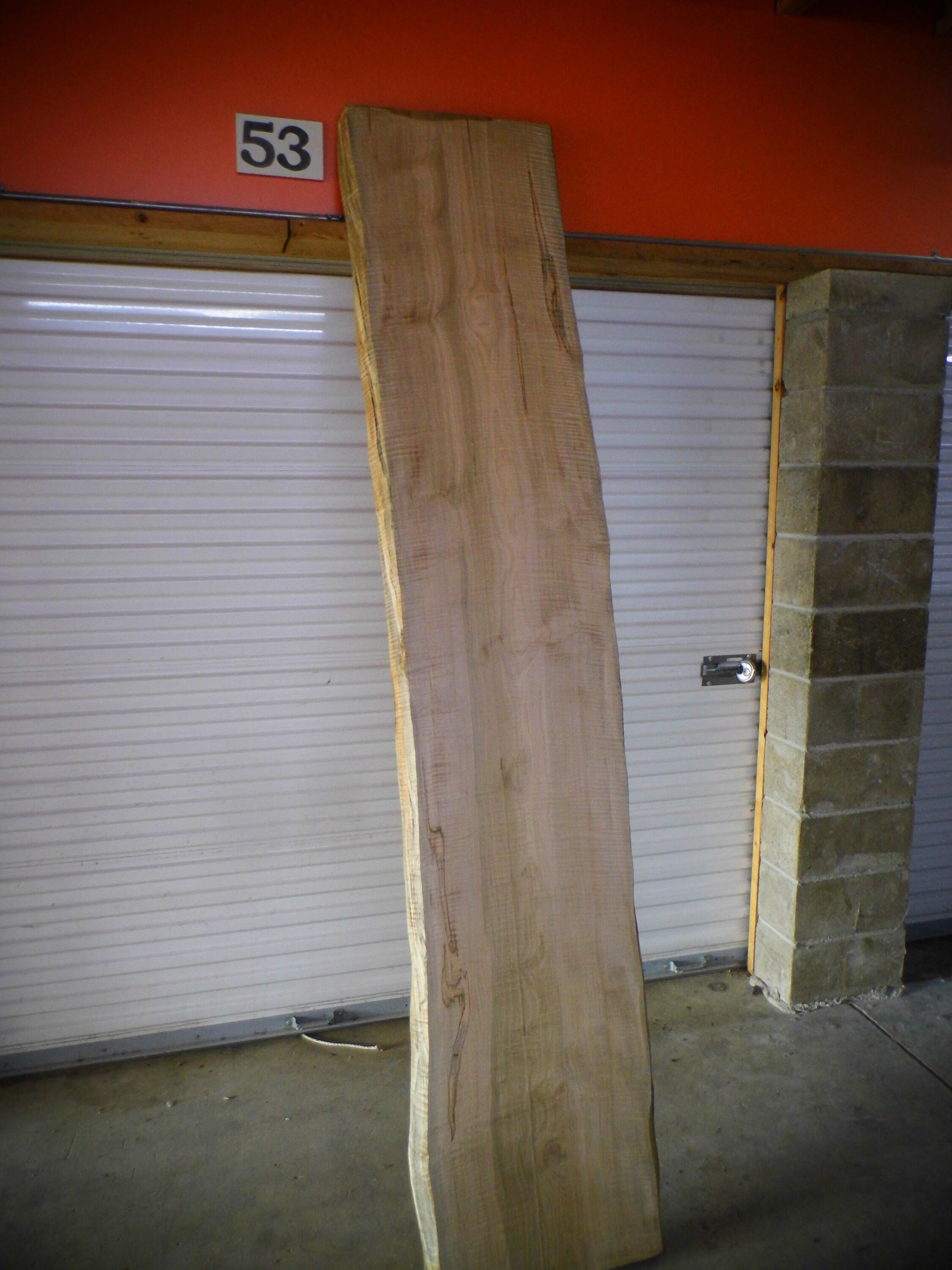 Live Edge Wood Slabs Seattle