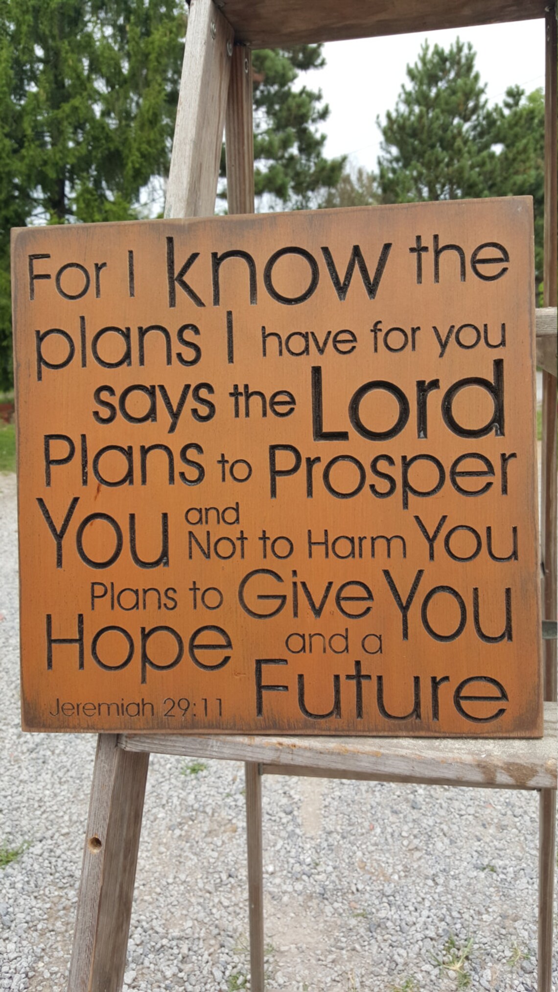 Custom Carved Wooden Sign for I Know the Plans I Have - Etsy
