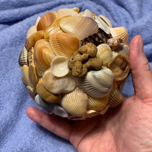 Seashell Spheres, Balls, Shell Decorations, Gifts, Beach Decor, Table ...